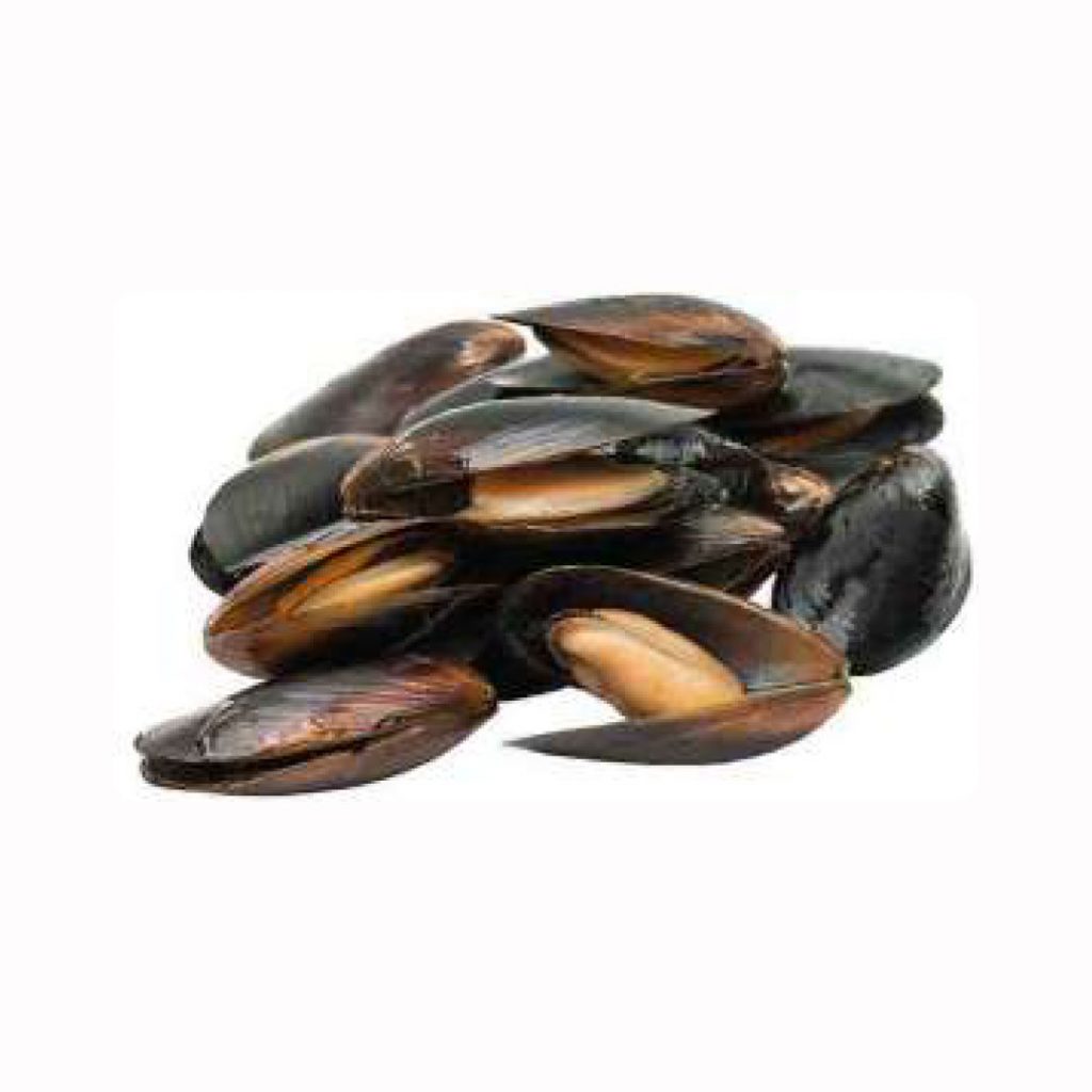 Mariscos – Vitamar SA